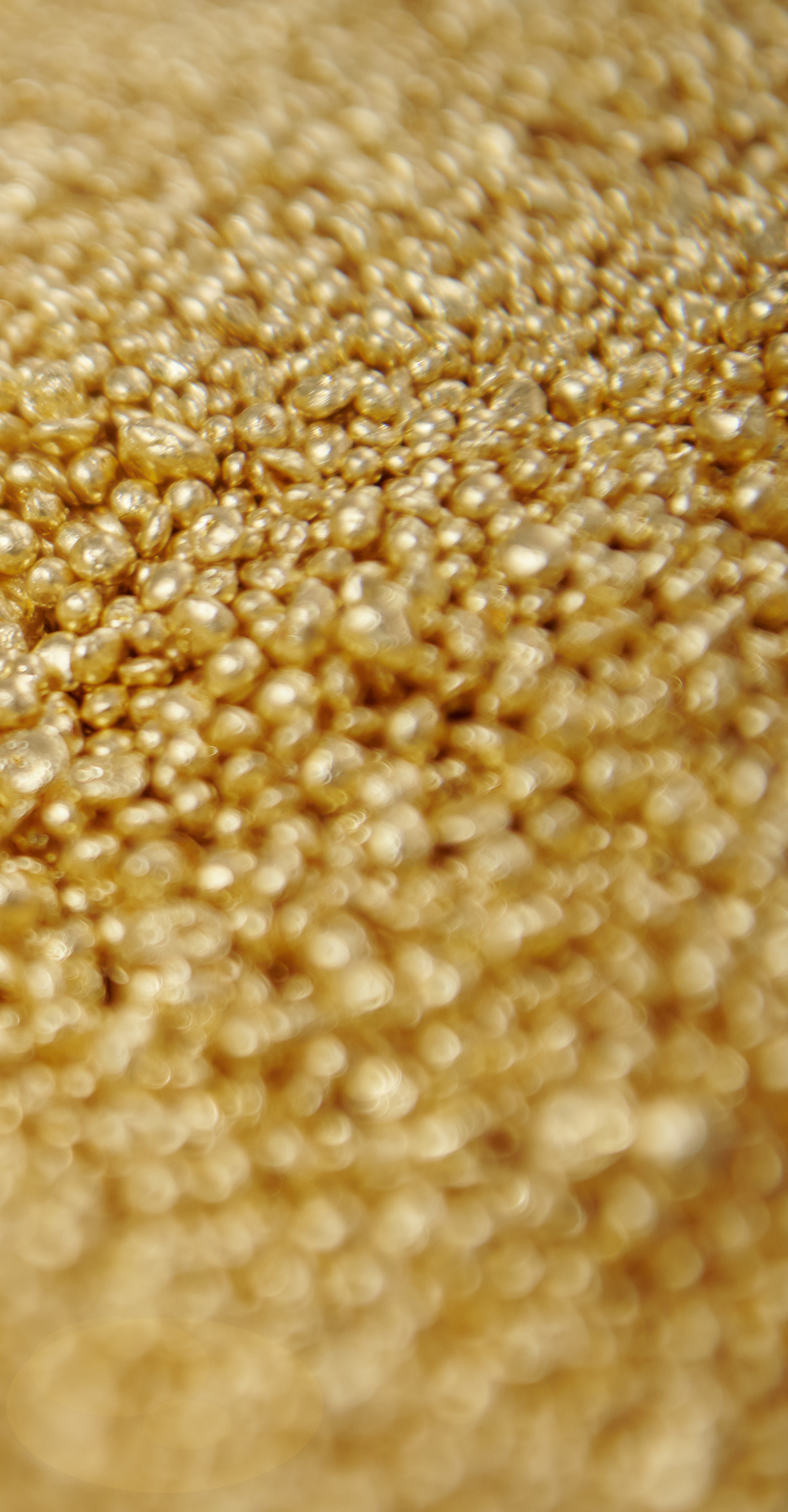 Responsible Sourcing | PAMP